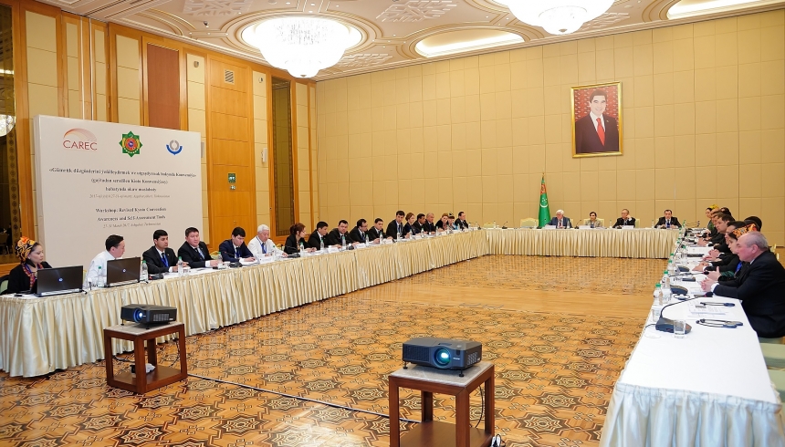 Workshop on Revised Kyoto Convention Awareness and Self-Assessment ...