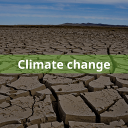 Cross-cutting Themes | CAREC Program