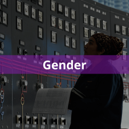 Cross-cutting Themes | CAREC Program